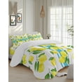 4 Piece Duvet Cover Set Queen, Watercolor Lemon Fruit Art Soft ...