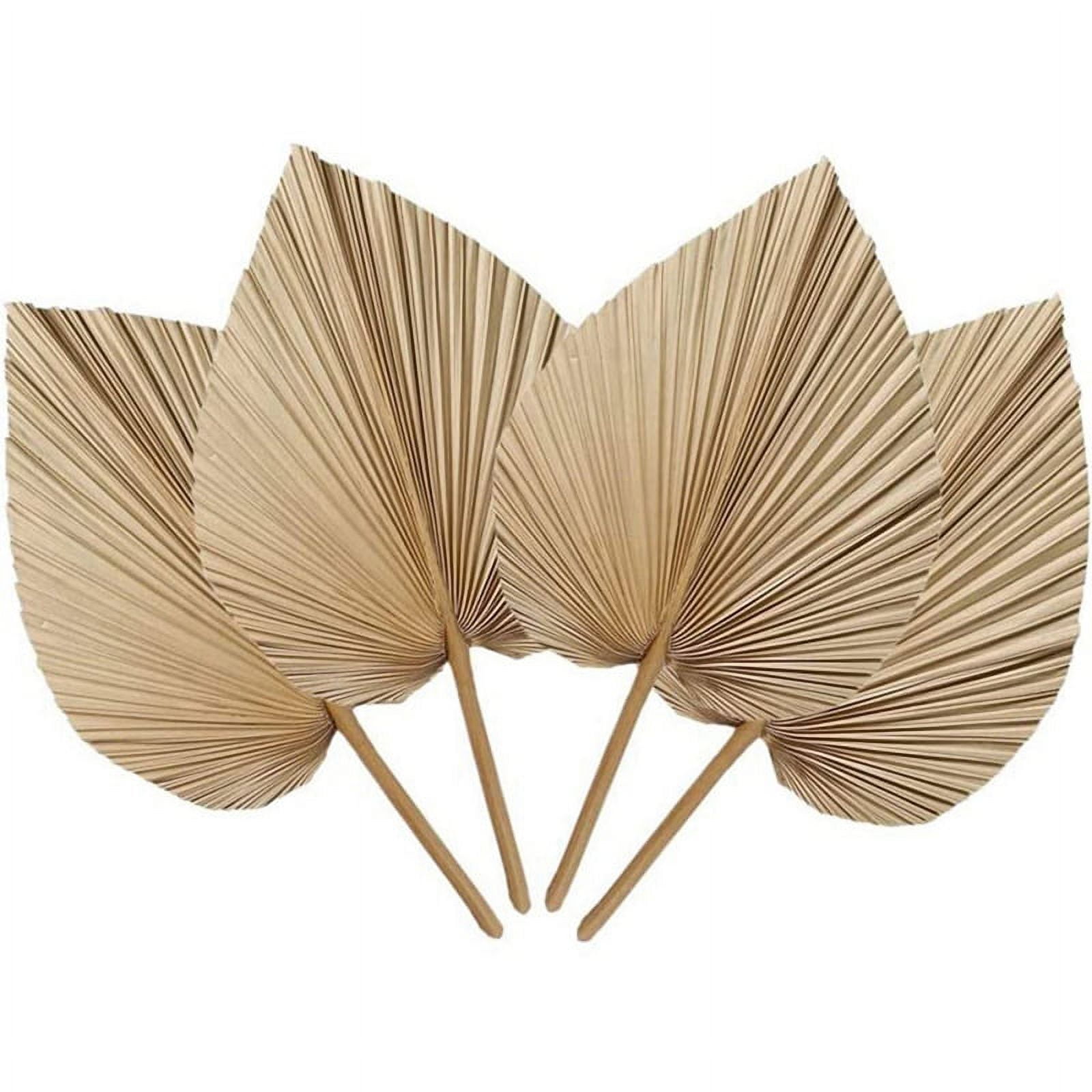 4 Pieces Natural Dried Palm Leaves are Perfect for Palm Leaf Decor ...