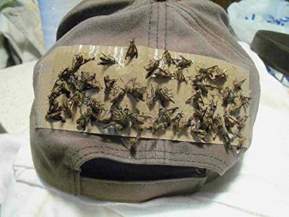 4 / Pk Deerfly Patches / Deer Fly Traps - Walmart.com