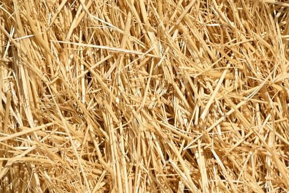 4 Pounds Natural Wheat Straw for Animal Bedding, Garden Mulch, Compost ...