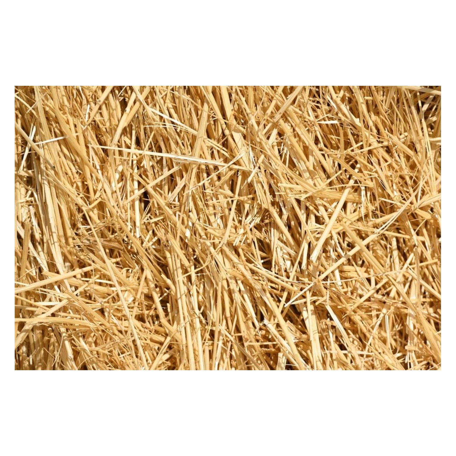 4 Pounds Natural Wheat Straw for Animal Bedding, Garden Mulch, Compost ...