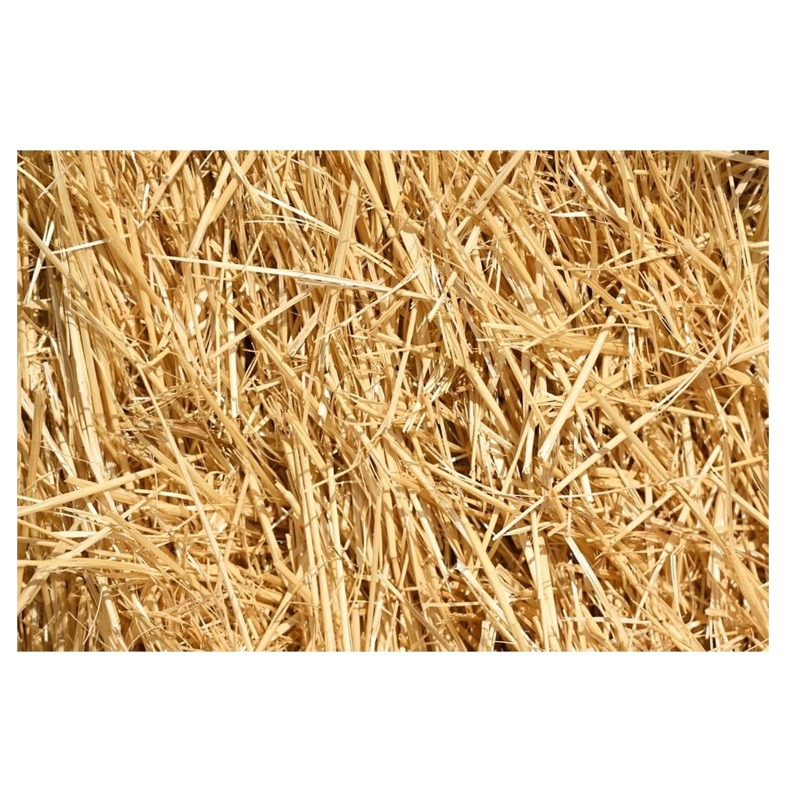 4 Pounds Natural Wheat Straw for Animal Bedding, Garden Mulch, Compost ...