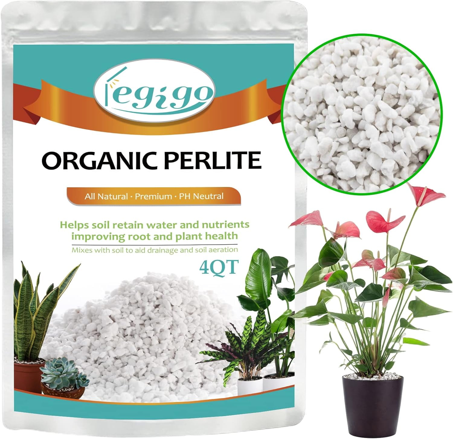 4 Quarts Organic Horticultural Perlite for Plants Indoor- Natural Soil ...