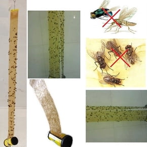 Bug Sticky Tape