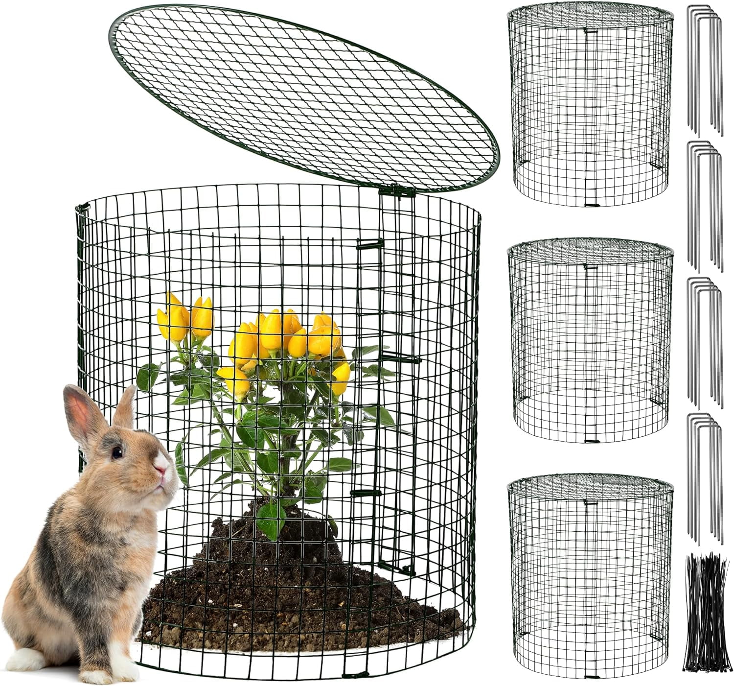 4 Set Garden Plant Protectors from Animals with Stakes, Metal Mesh and ...