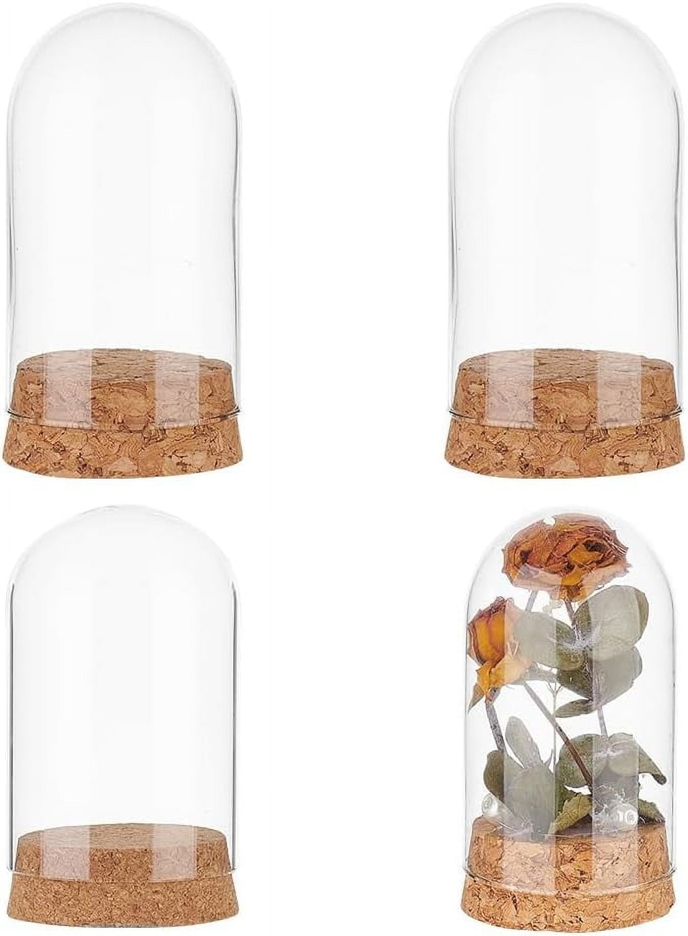 4 Sets 2 Sizes Glass Dome with Cork Base Eternal Flower Glass Display ...