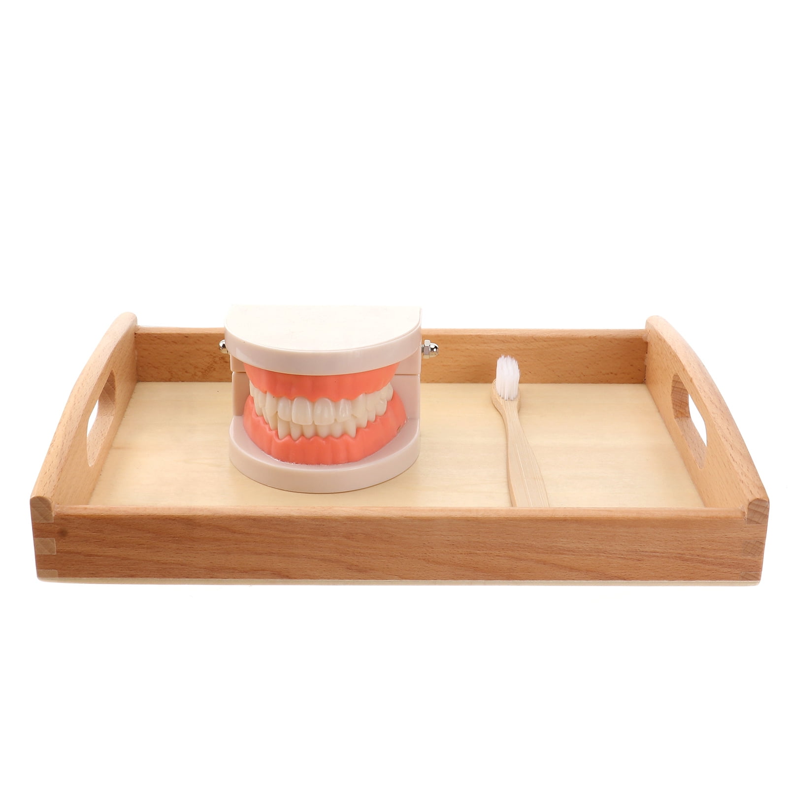 4 Sets Children's Teeth Brushing Teaching Aids Mouth Model Toothbrush ...