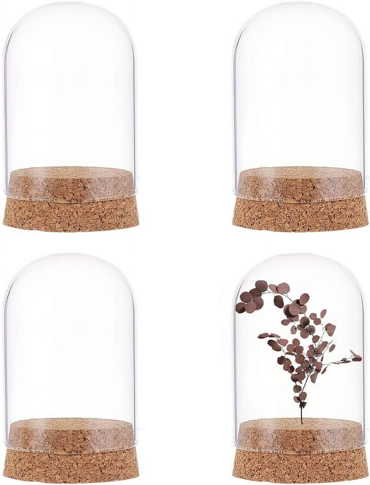 4 Sets Glass Dome with Cork Base 2.75x1.96 Mini Glass Dome Eternal ...