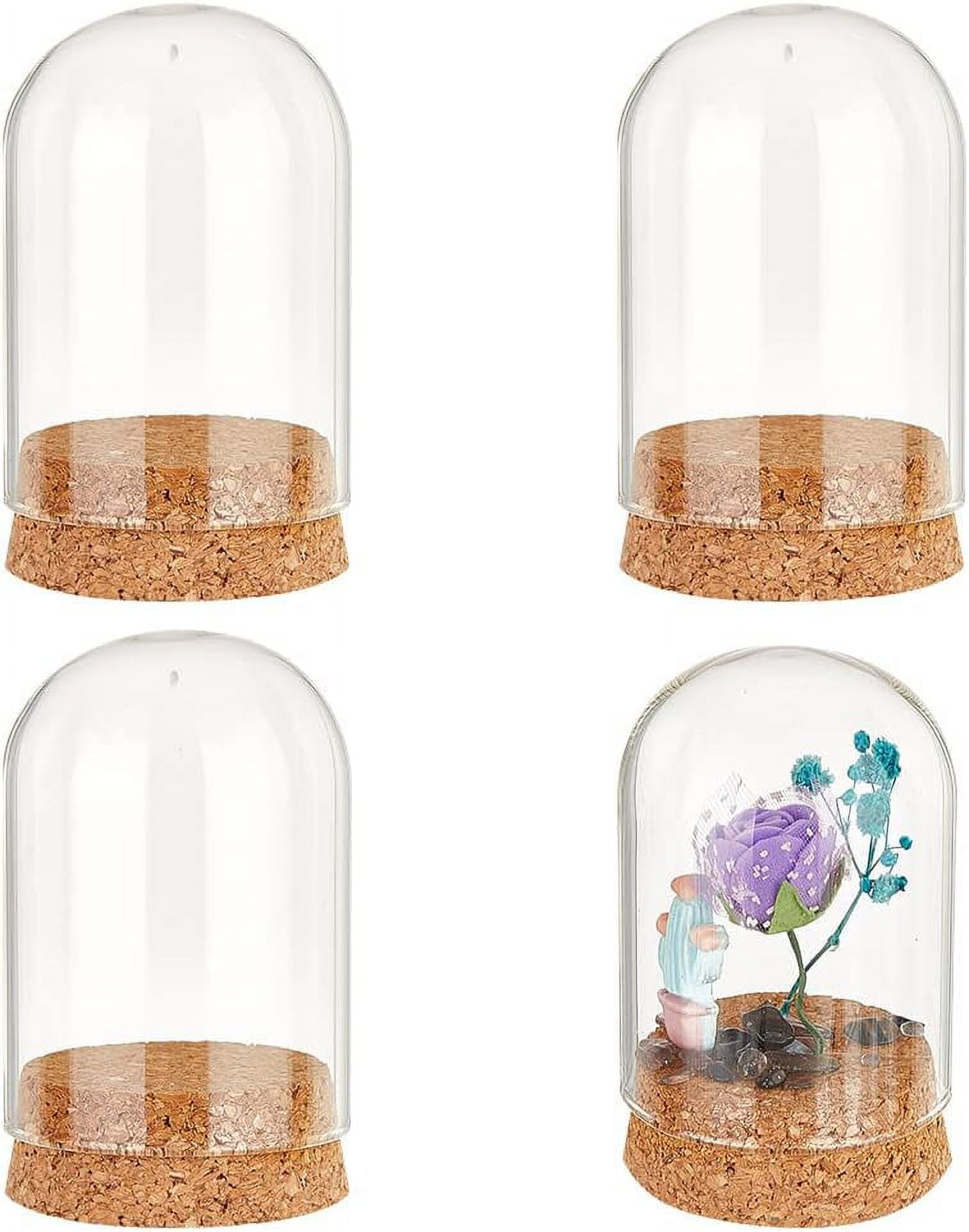 4 Sets Mini Glass Dome Eternal Flower Glass Display Dome Cloche 2.7x1.9 ...