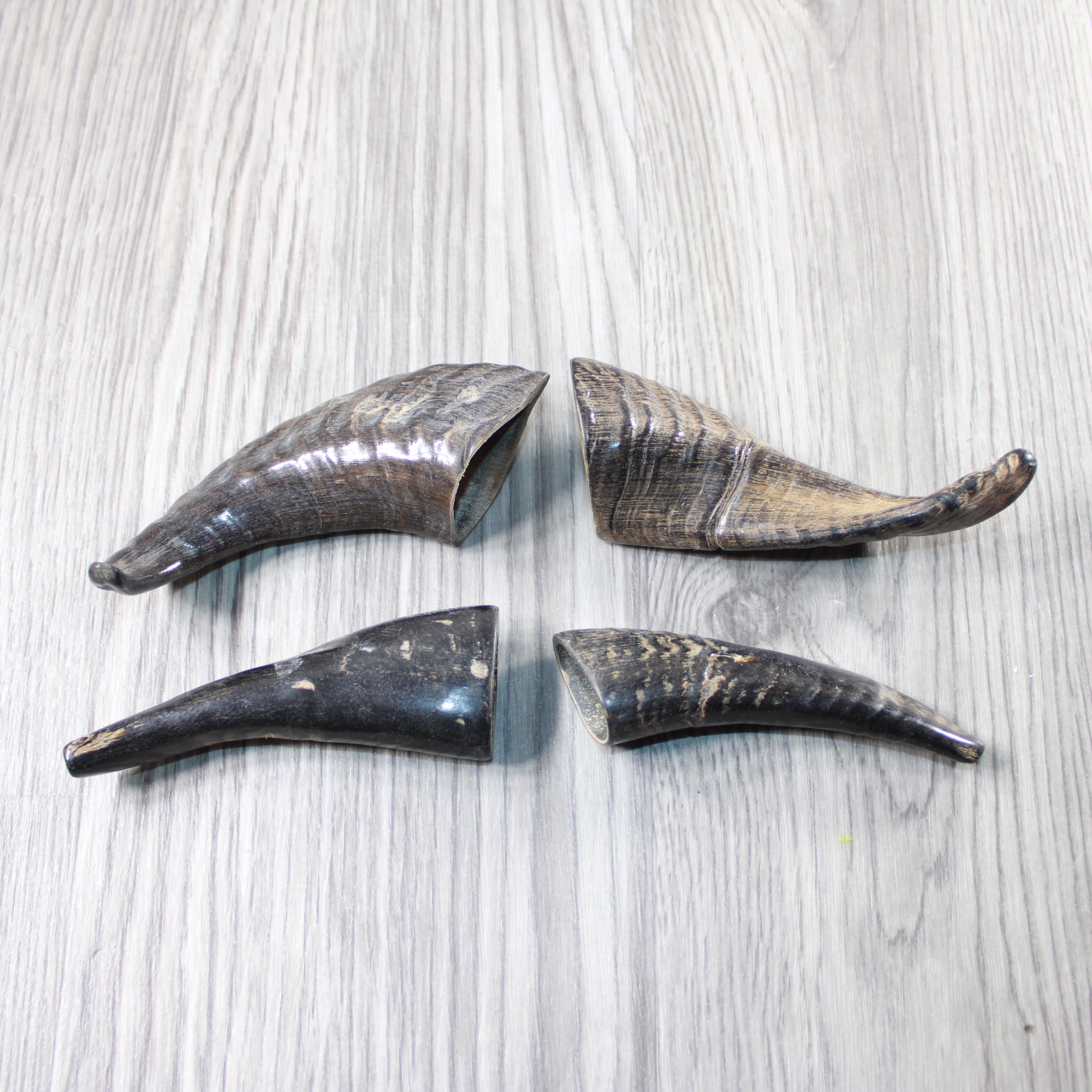 4 Small Polished Goat Horns #604-2 Natural Colored - Walmart.com