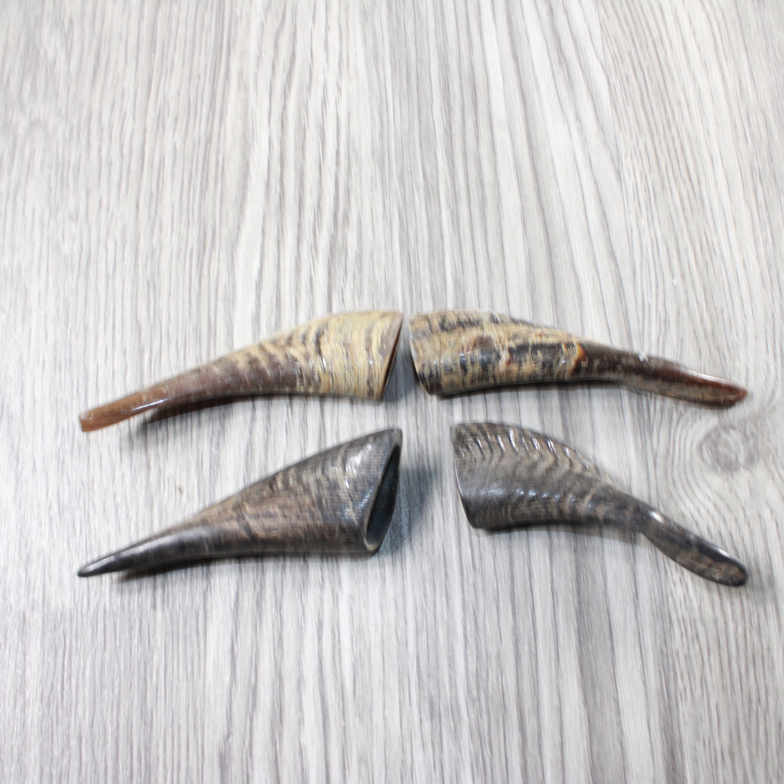 4 Small Polished Goat Horns #7654 Natural Colored - Walmart.com