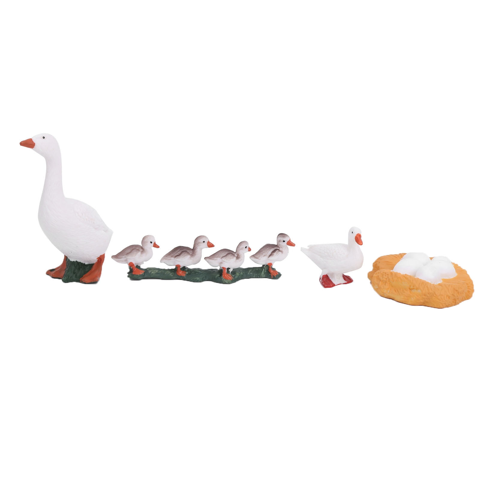 4 Stage Growth Cycle Model Animal Duck Life Cycle Models Children ...