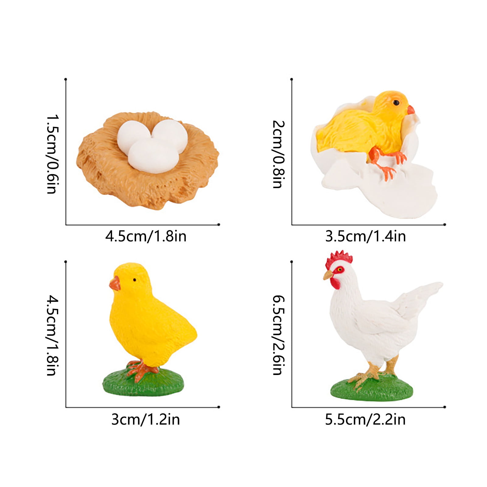 4 Stage Insect Life Cycle Figurines Set, Animal Growth Simulation ...