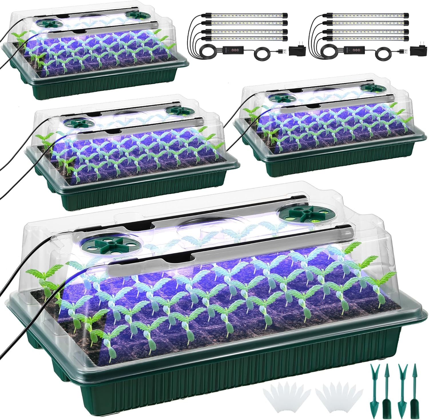 4 Starter Tray with Grow Light, 80 Cells Indoor Greenhouse Kit, 360 ...