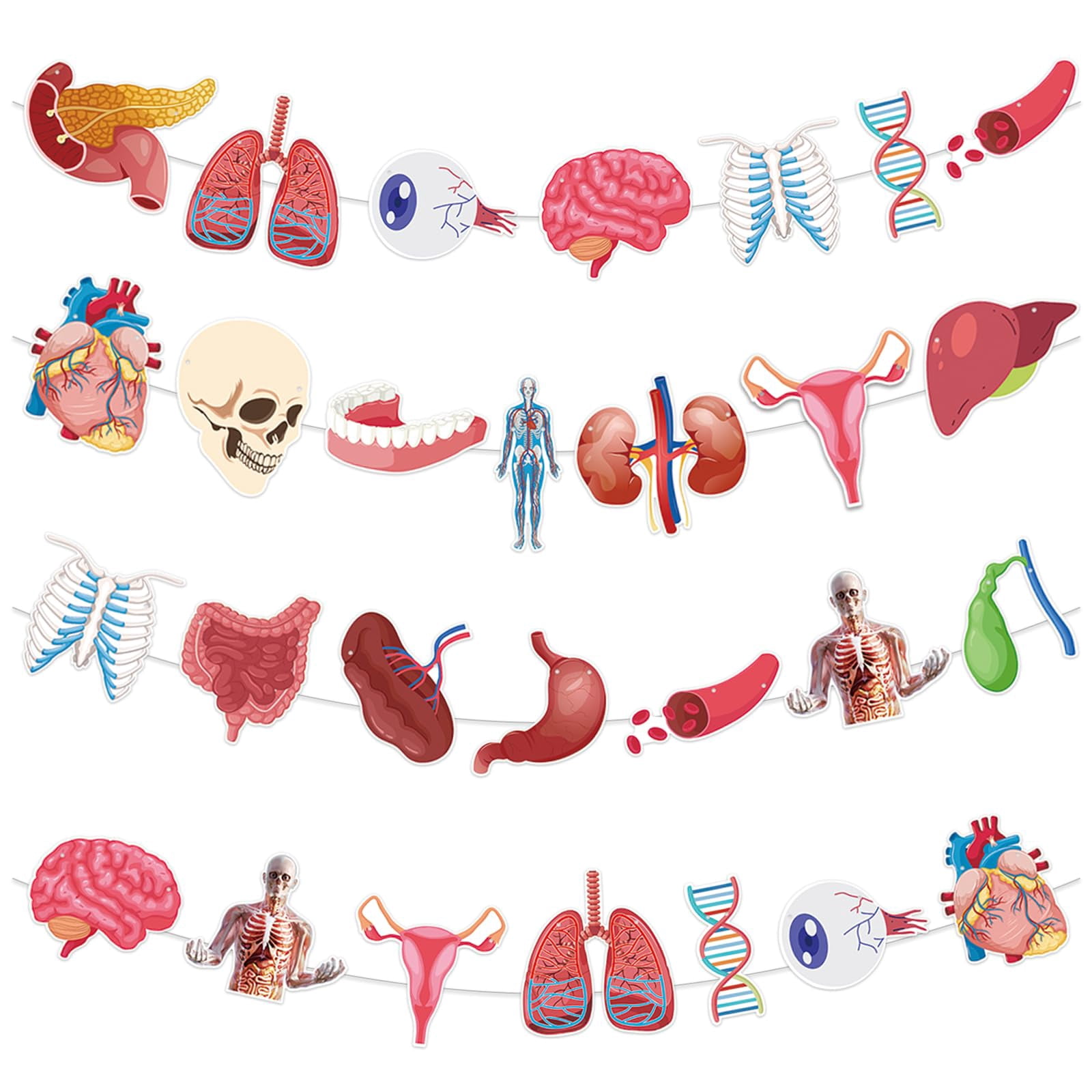 4 Strings 28 TWE5 Pcs Anatomy Themed Hanging Banner, Body Parts ...