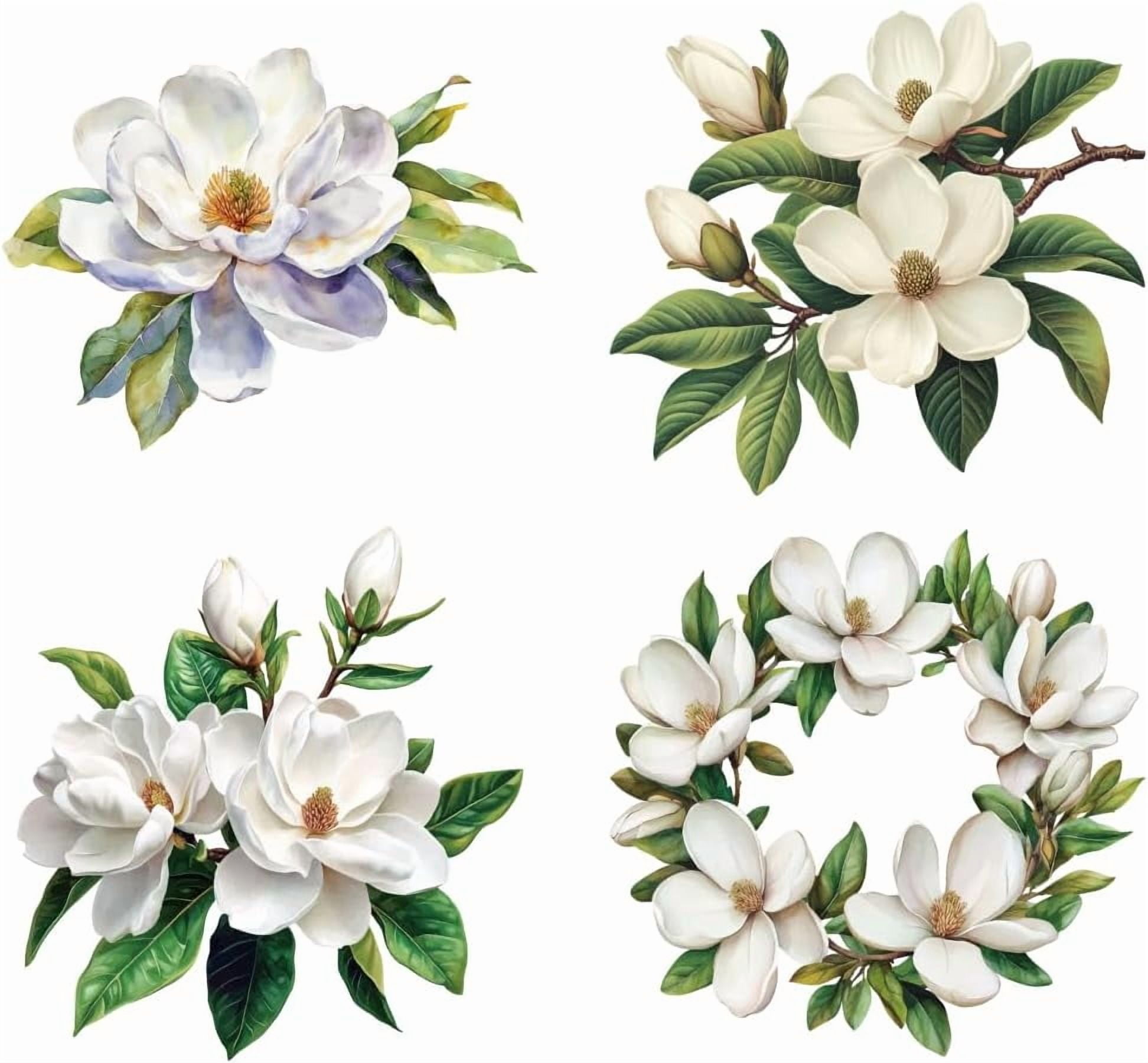 4 Styles Magnolia Flower Iron on Decals Patches Magnolia Branches and ...