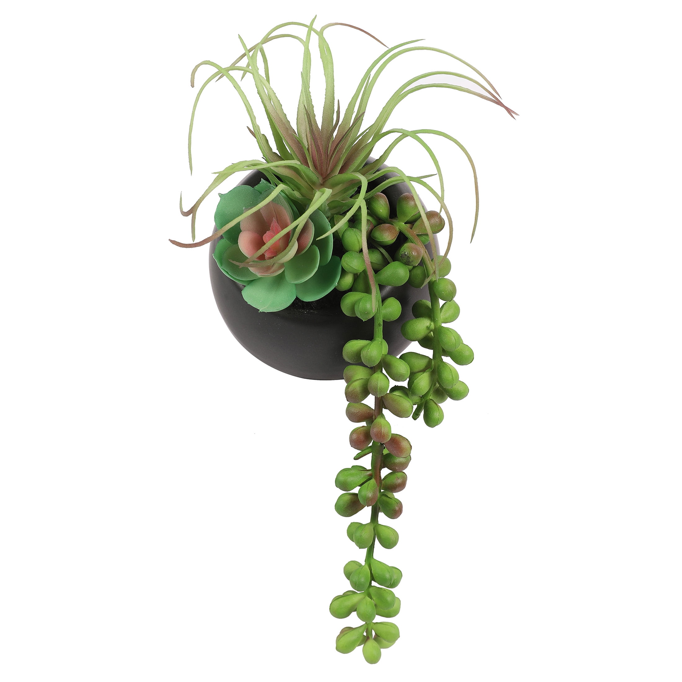 4" Succulent in Black Planter by Ashland® - Spring Craft Kits - Walmart.com