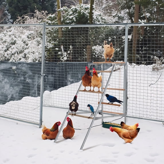 4-Tier Metal & Wood Chicken Perch with Swing, Anti-Slip Pet Activity ...