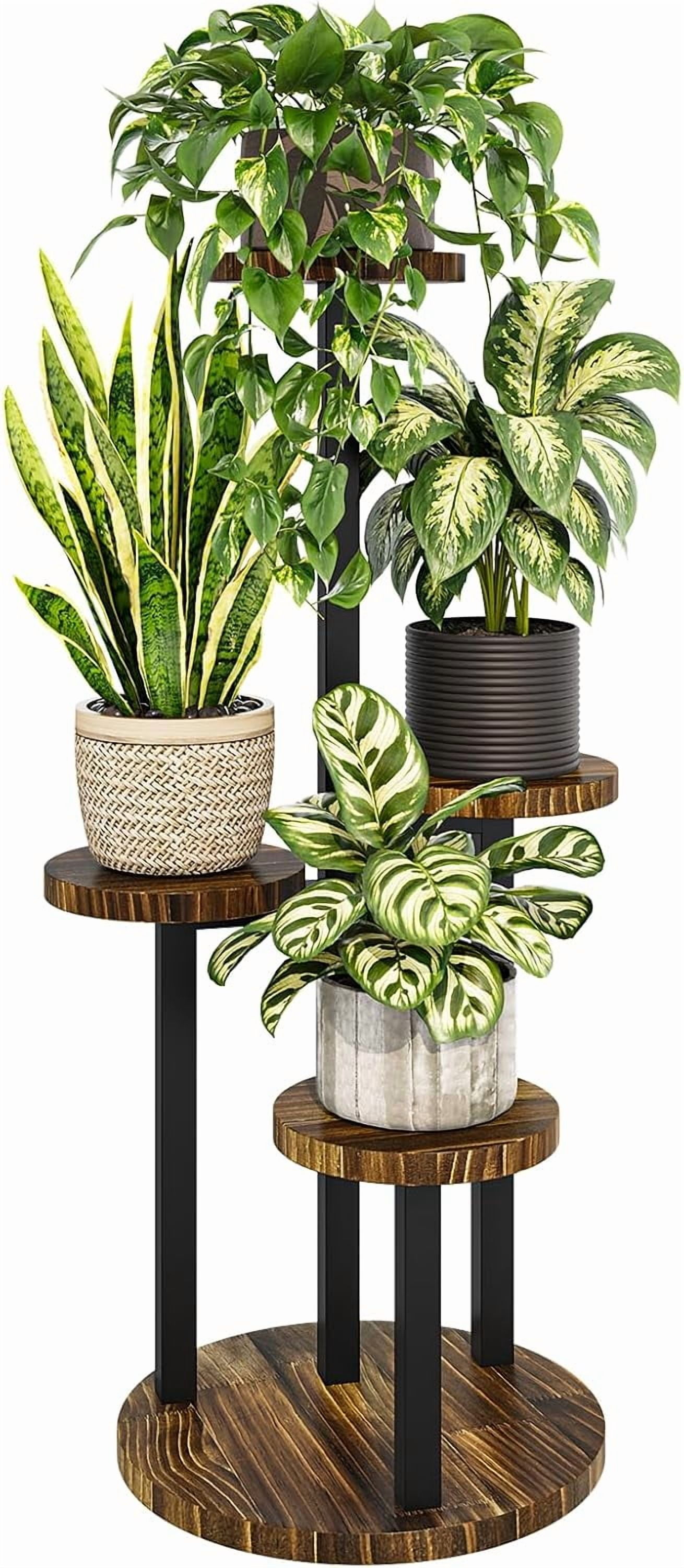 4 Tiered Plant Stand