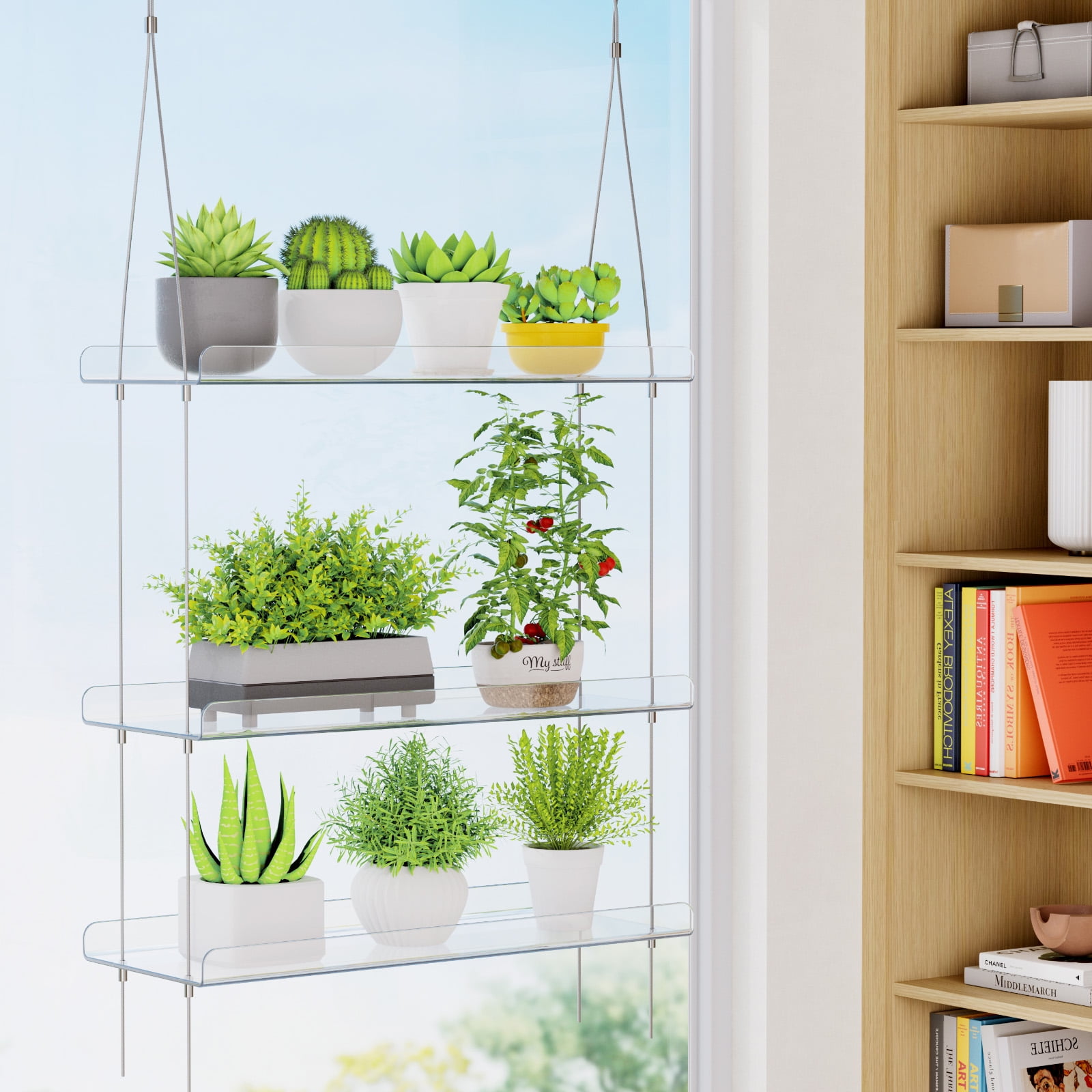 Lifewit 4-Tier Window Plant Shelves 15 inch, Acrylic Adjustable Hanging ...