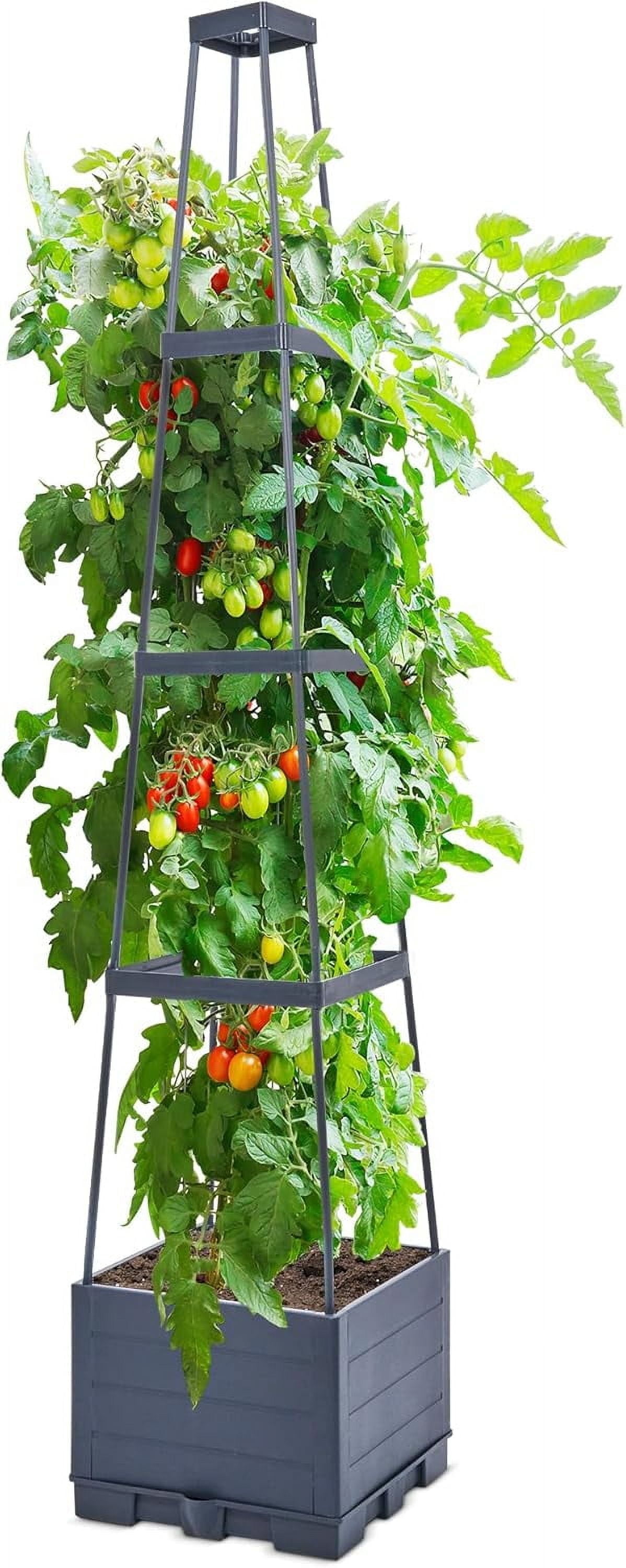 4 Tiered Tomato Planter with Box Trellis, 56'' Raised Garden Bed ...