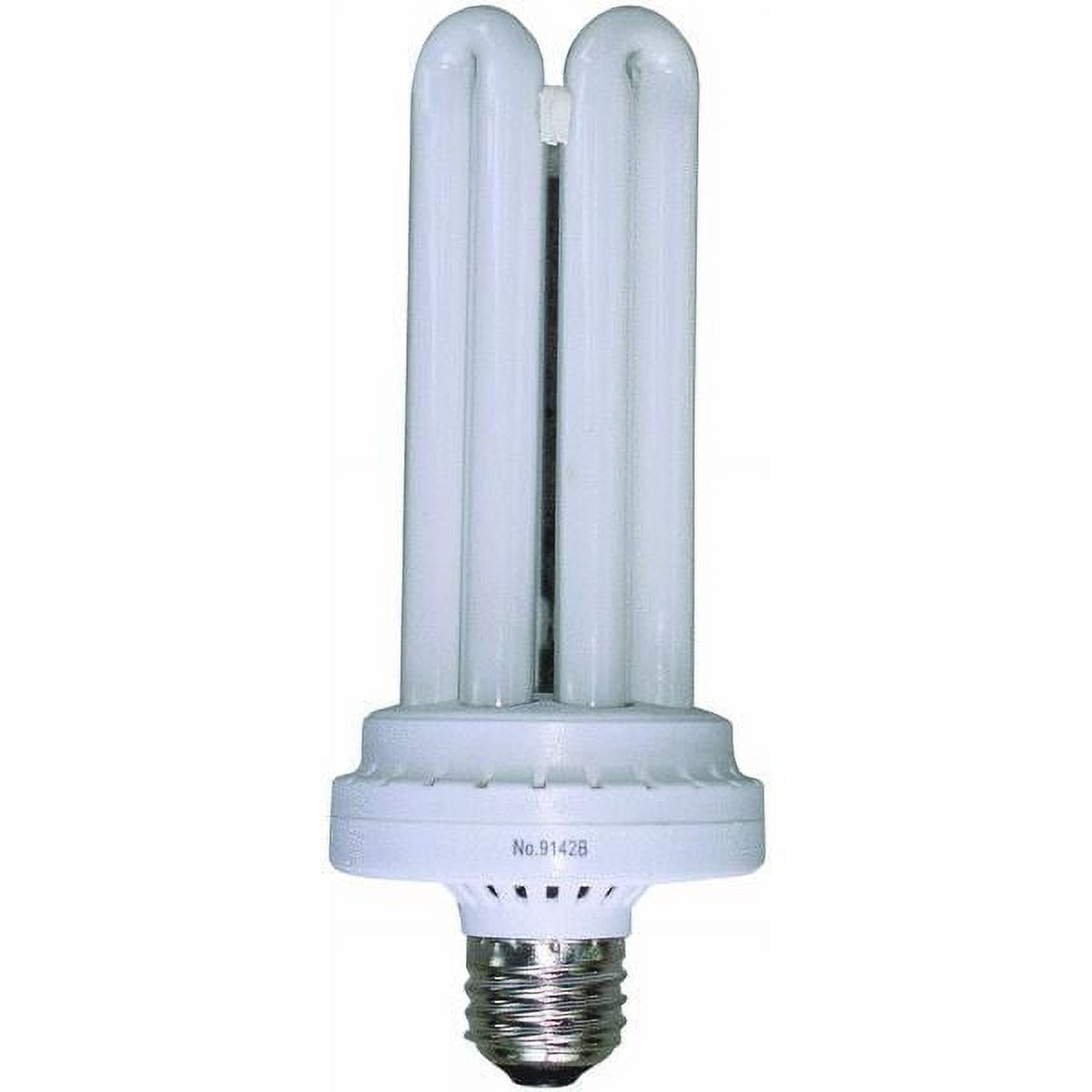 Lights of America Flourex Replacement CFL Light Bulb - Walmart.com