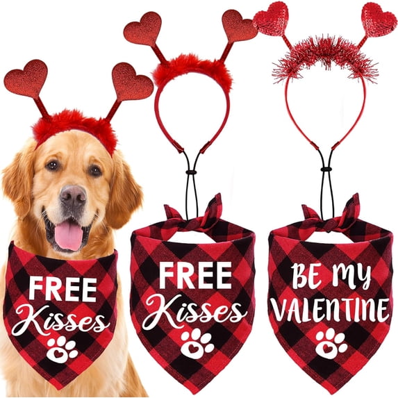4 Valentine's Day Costumes, Holiday Valentines Outfits Bandanas Heart ...