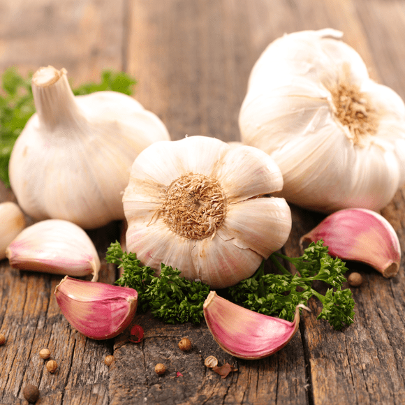Garlic Bulb