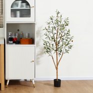 6 ft Tall Large Indoor Faux Moringa Oleifera Tree in Pot, Artificial ...