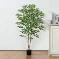 4 ft Indoor Faux Moringa Oleifera Tree in Pot, Fake Home Decor Plants ...