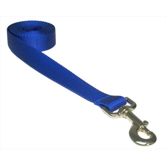 4 ft. Nylon Webbing Dog Leash, Blue - Small & Medium - Walmart.com