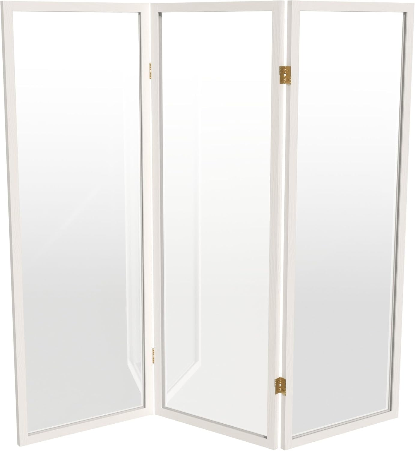 4 ft. Short Clear Plastic Partition White 3 Panel - Walmart.com