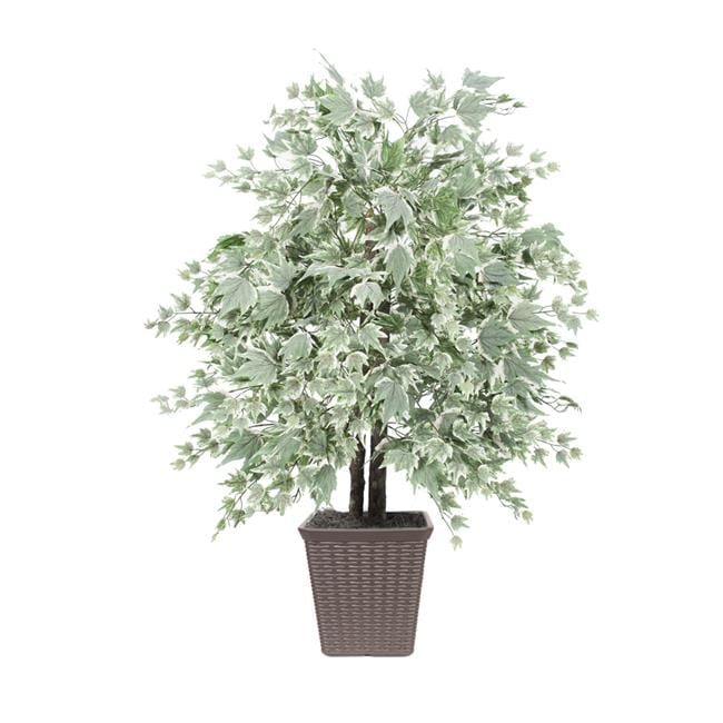 4 ft. Silver Maple Bush Square Brown Container Decorative Plant, Dark ...