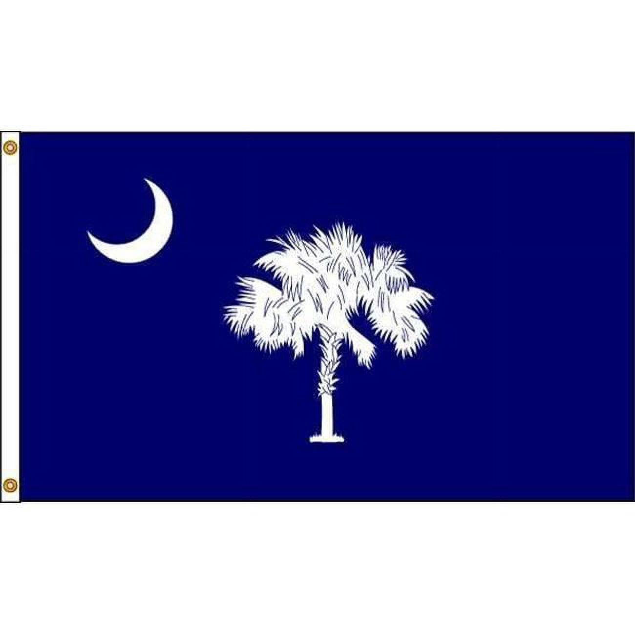 4 ft. X 6 ft. Nyl-Glo South Carolina Flag - Walmart.com
