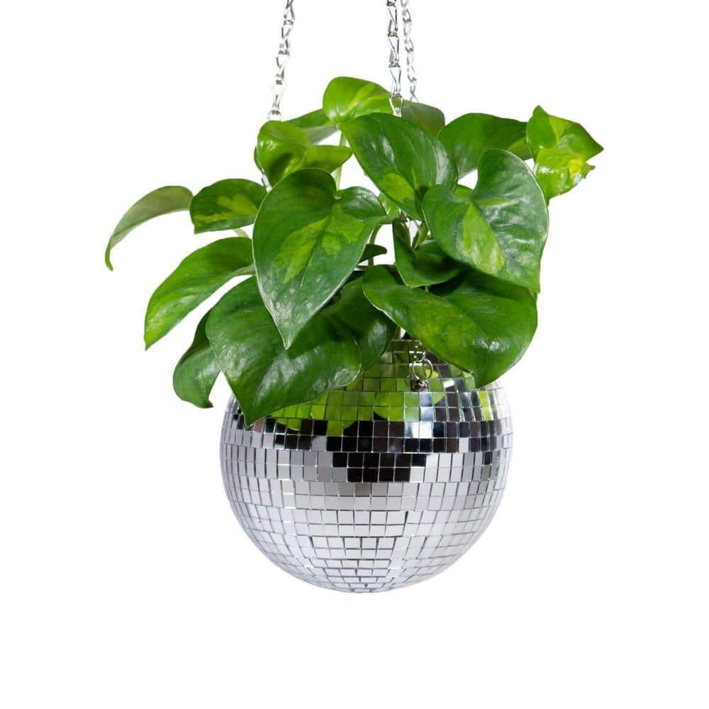4 in. Dia Silver Plastic and Glass Hanging Basket with Chain and ...