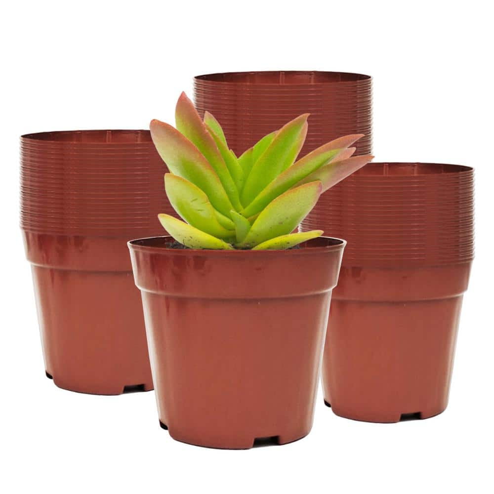 4 in. x 3.5 in. Red Plant Pots Small Plastic Plants Nursery Pots ...