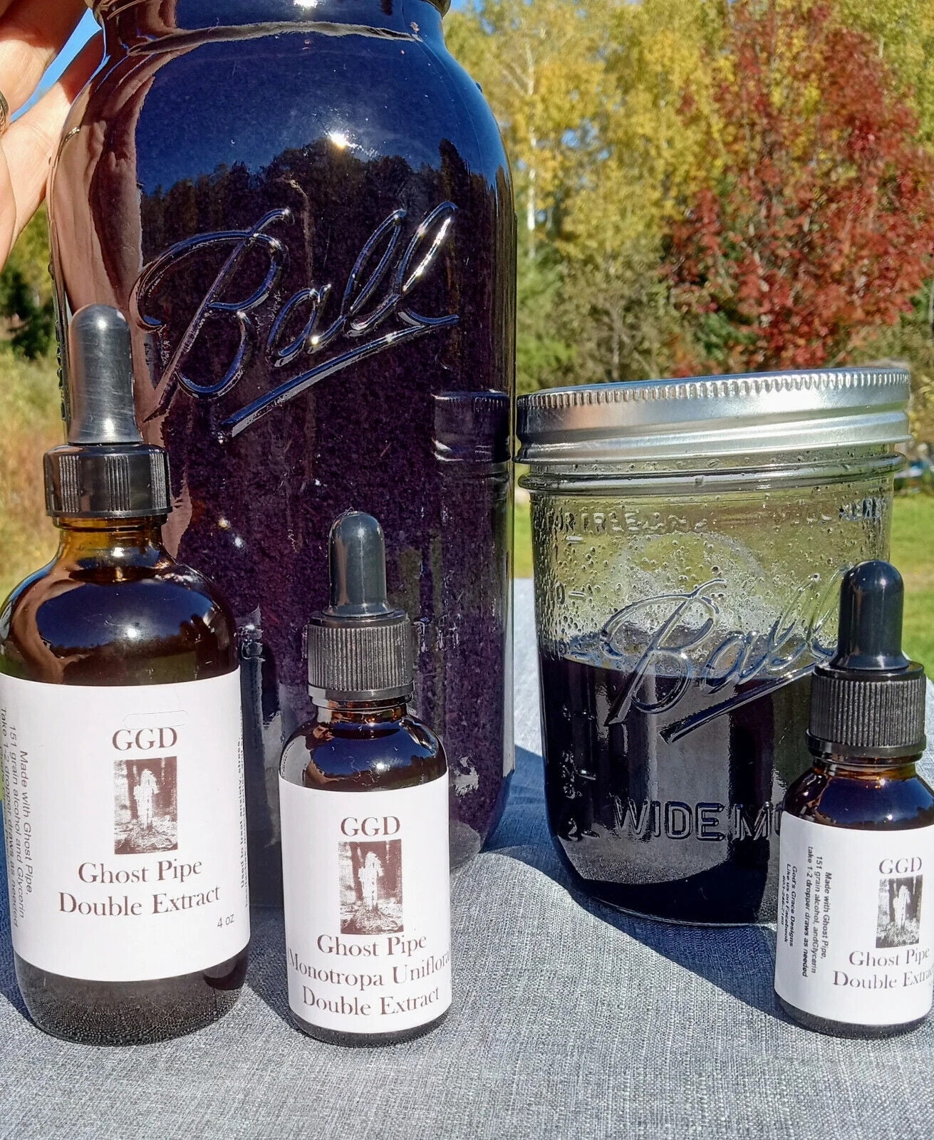4 oz Ghost Pipe (Monotropa Uniflora) Double Extract - Walmart.com
