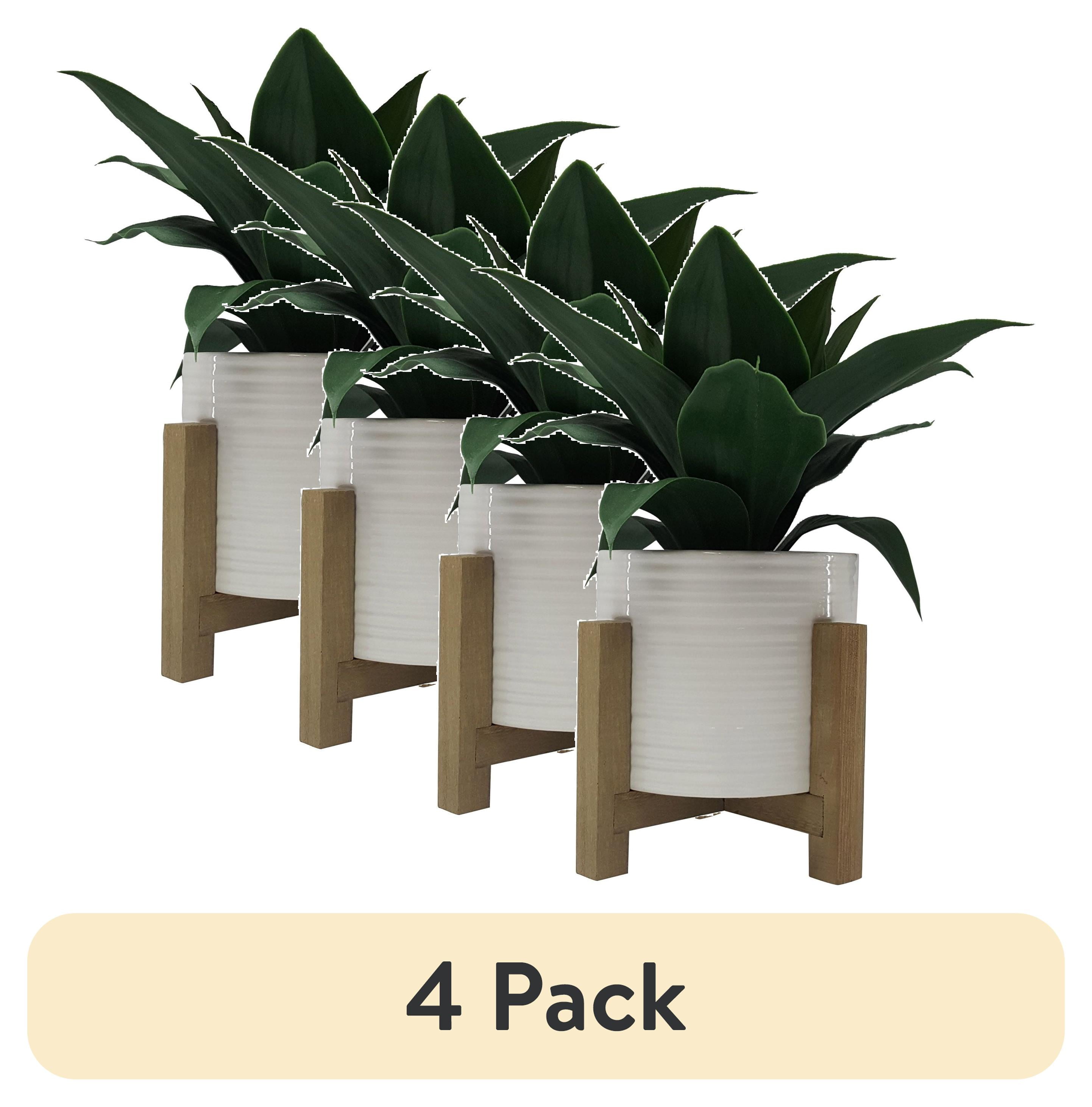 Free Shipping! Better Homes & Gardens 10in Artificial Agave Plant in ...