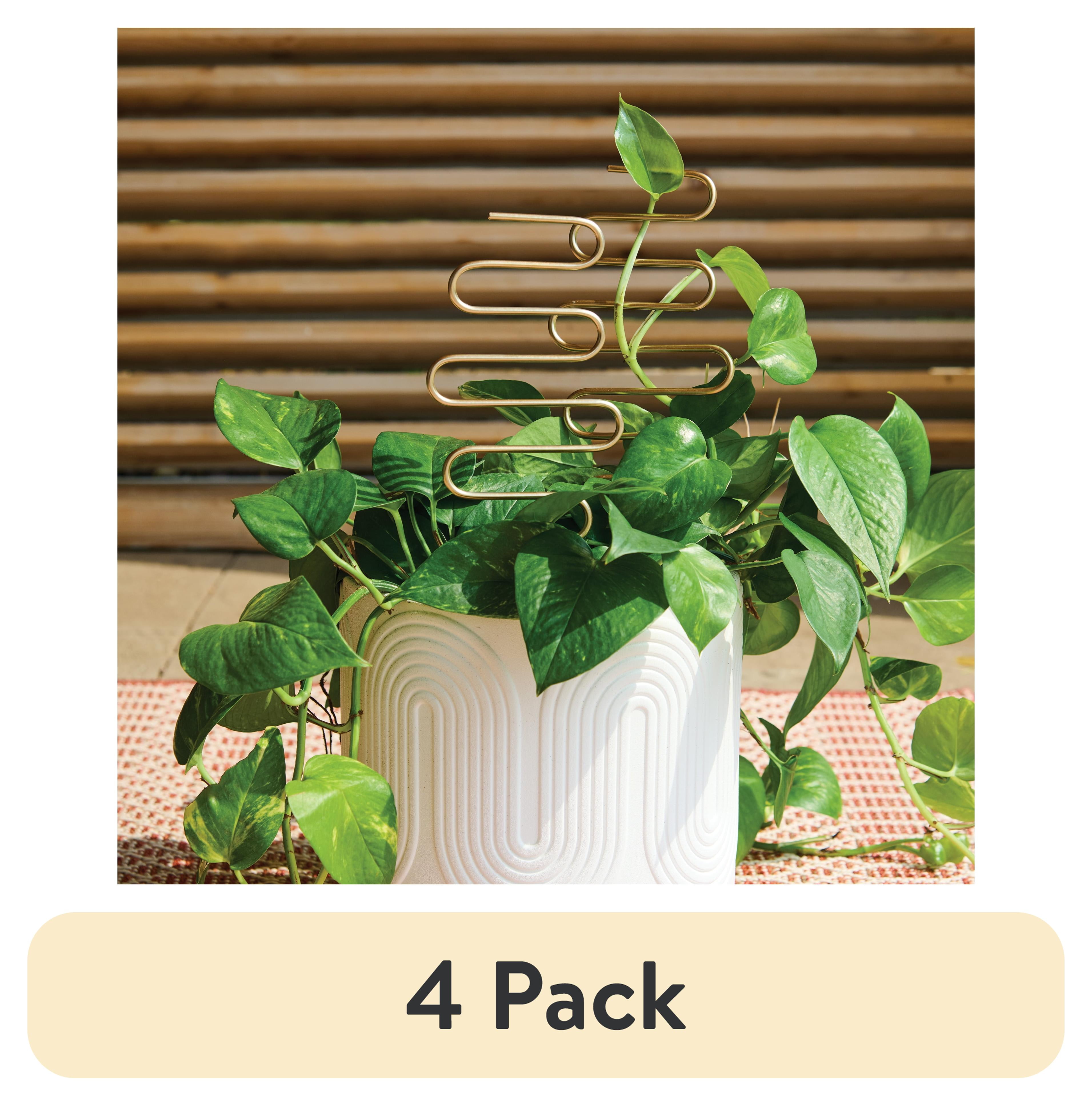 (4 pack) Better Homes & Gardens 2PK Golden Metal Plant Stake, Set of 2 ...
