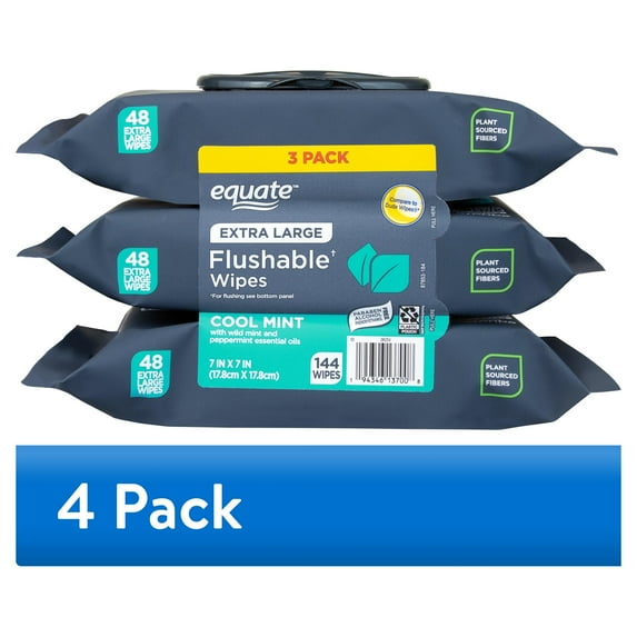 (4 pack) Equate Extra Large Flushable Wet Wipes, Cool Mint Scent, 144 ...