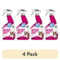 (4 pack) OUT! Oxygen Activated Pet Stain & Odor Remover for Dogs ...