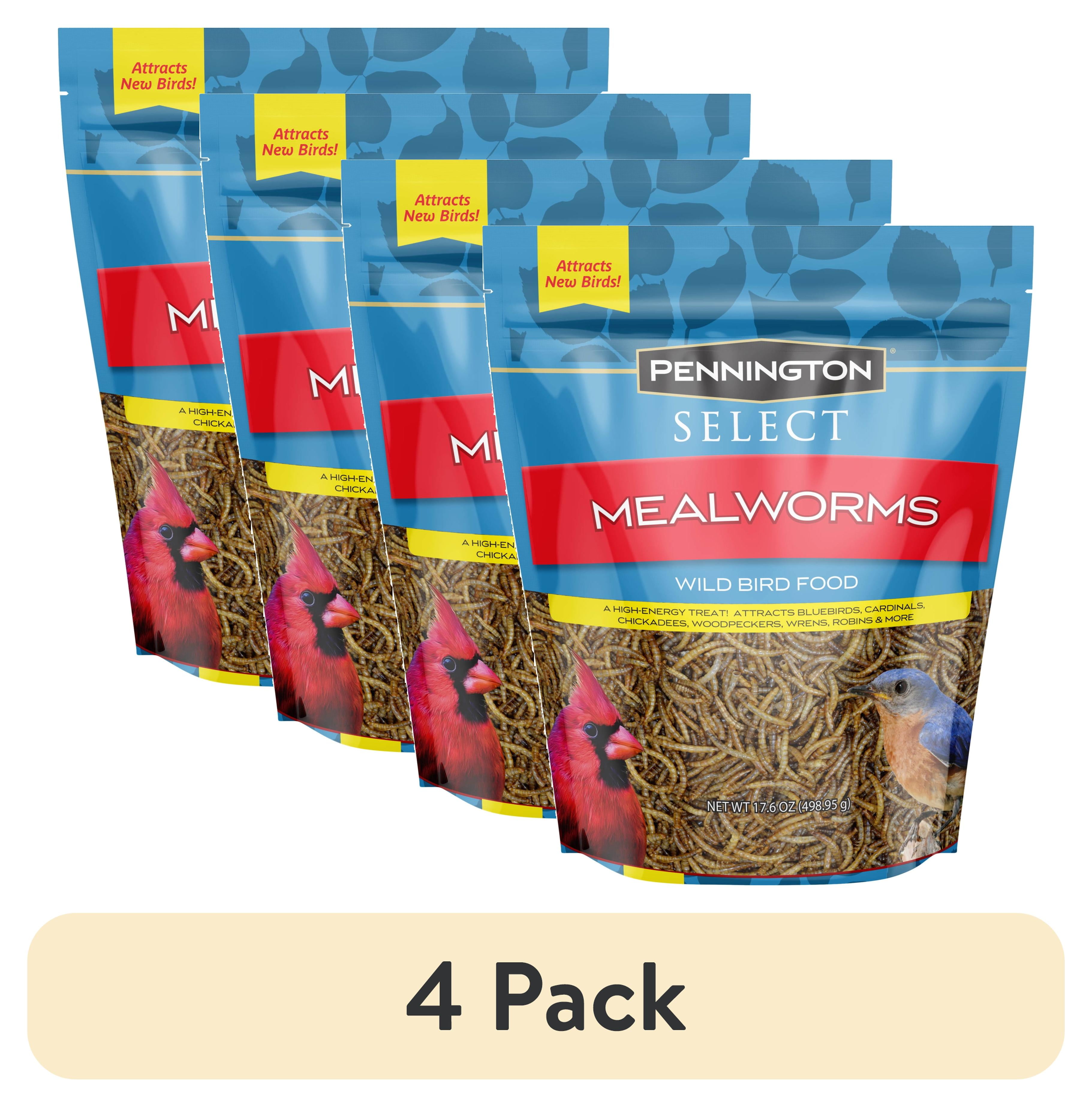 (4 pack) Pennington Select Mealworms, Bluebird and Wild Bird Food, 17.6 ...