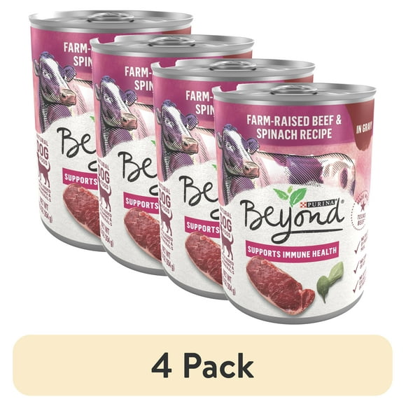 Purina Beyond Dog Food in Purina Beyond - Walmart.com
