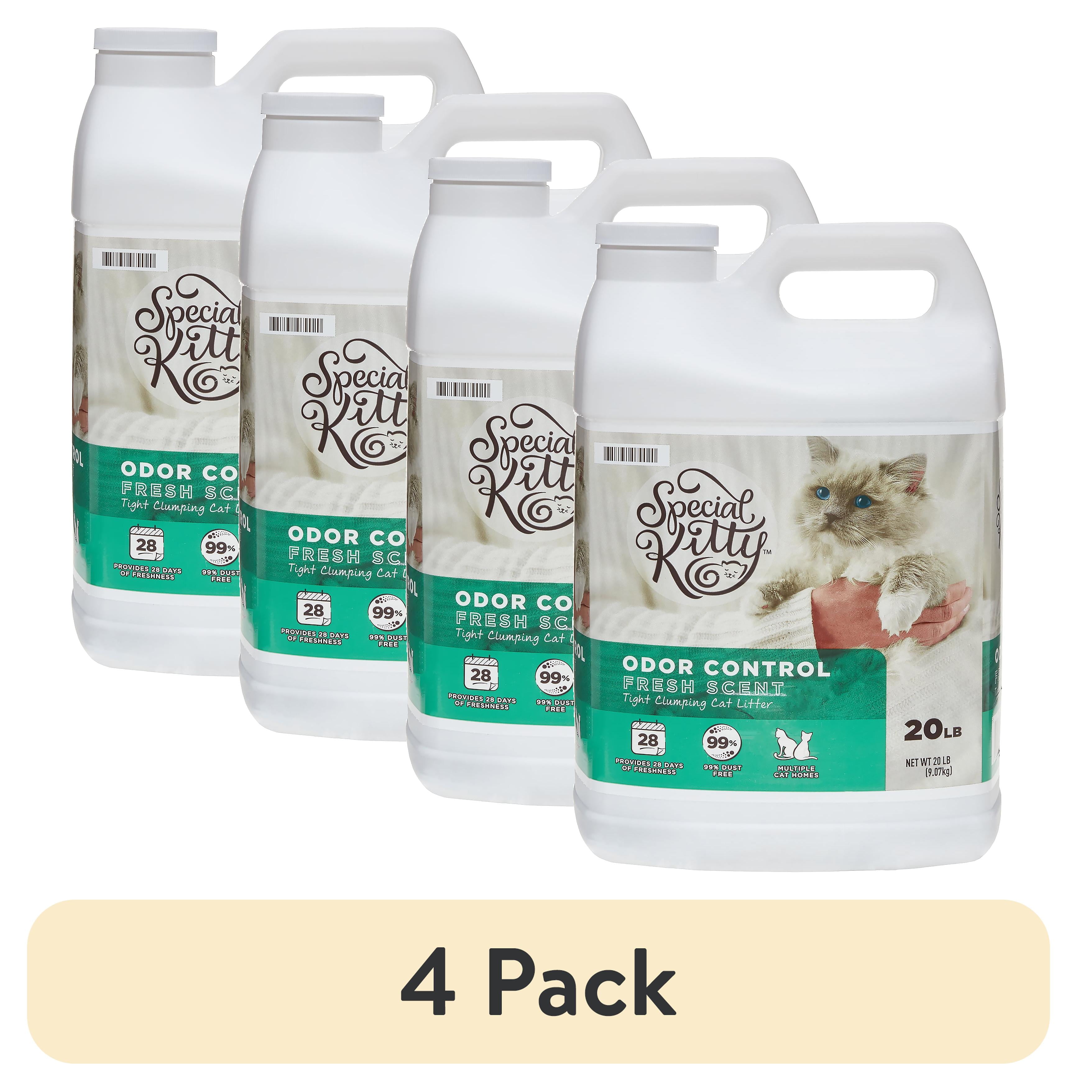 (4 pack) Special Kitty Scoopable Tight Clumping Cat Litter, Fresh Scent ...