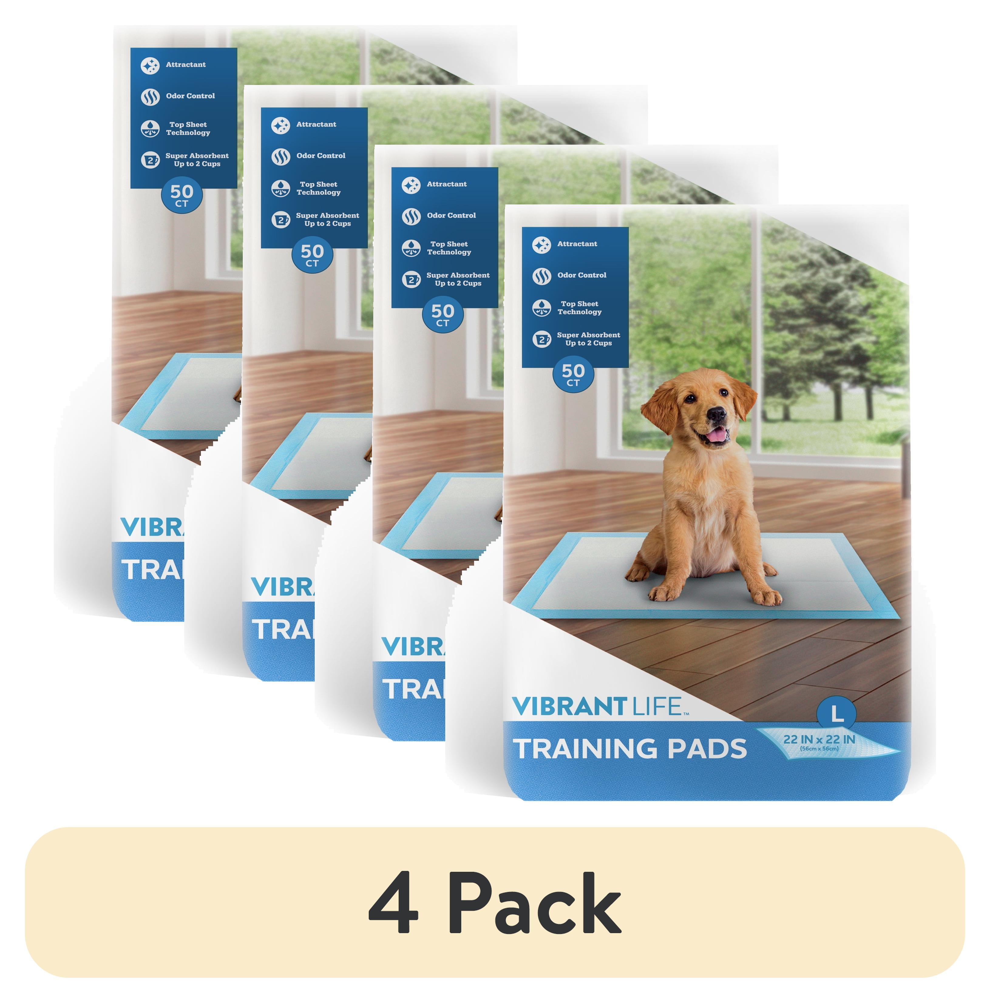 (4 pack) Vibrant Life Training Pads – Super Absorbent, Leak Proof ...