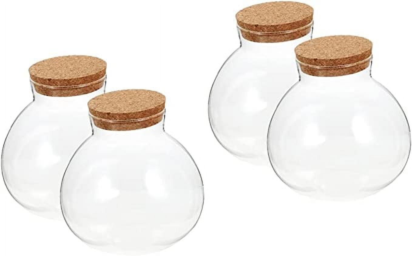 4 pcs Office Planter with Terrarium Cm Mini House Succulent Base Clear ...