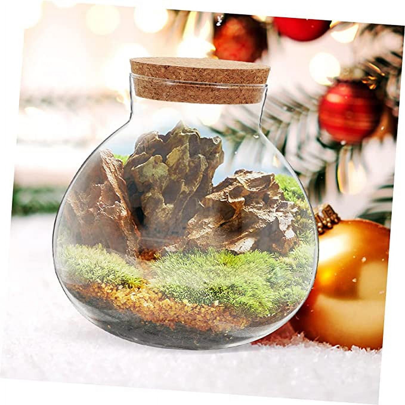 4 pcs Office Planter with Terrarium Cm Mini House Succulent Base Clear ...