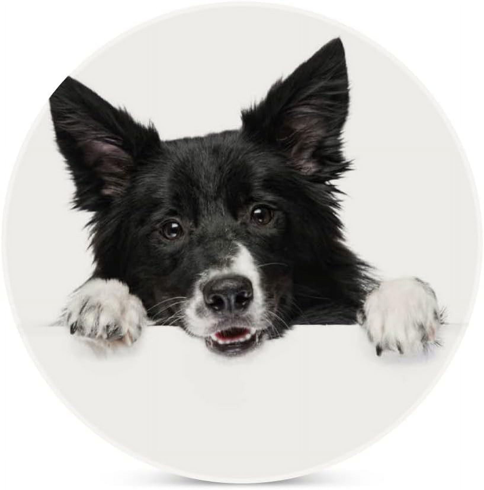 4 pcs SKYSONIC Round Drink Coasters Dog Breeds Border Collie Stands ...