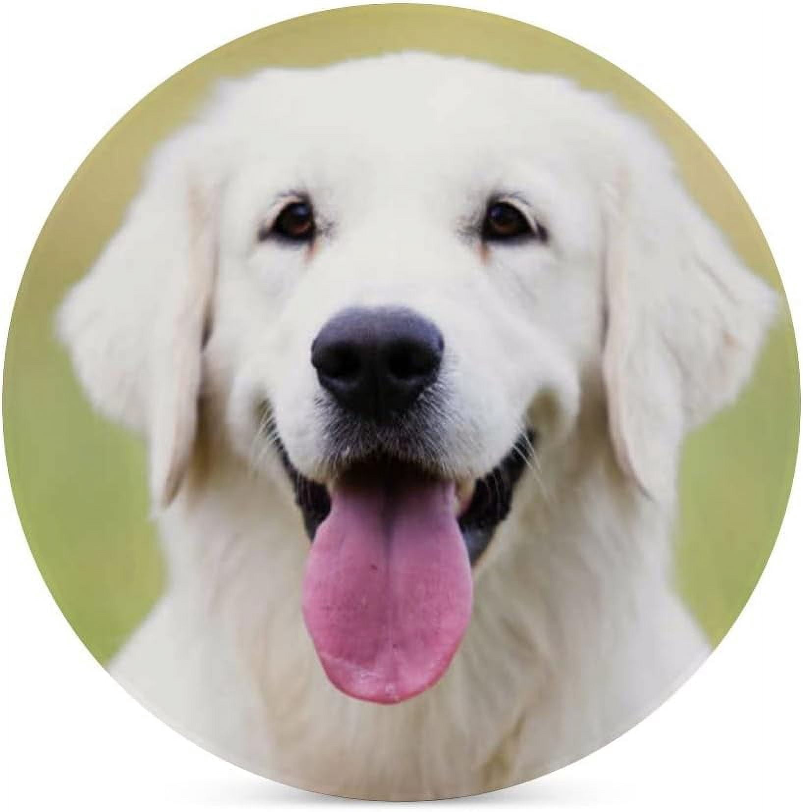 4 pcs SKYSONIC Round Drink Coasters Portrait of Golden Retriever Dog ...
