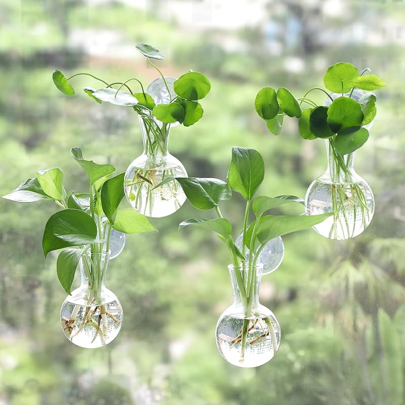 4 pcs Window Propagation Stations, Easy to Install Plant Propagation ...